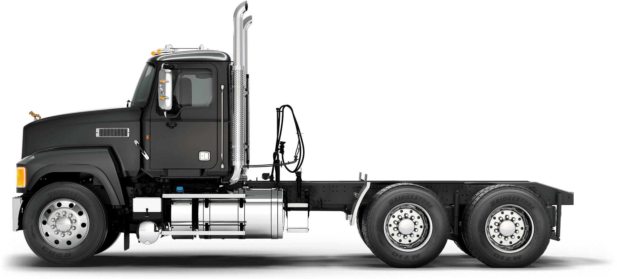 Congratulations! The PNG Image Has Been Downloaded (Transparent ...