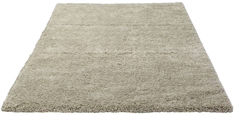 Congratulations! The PNG Image Has Been Downloaded (Rug - Transparent ...