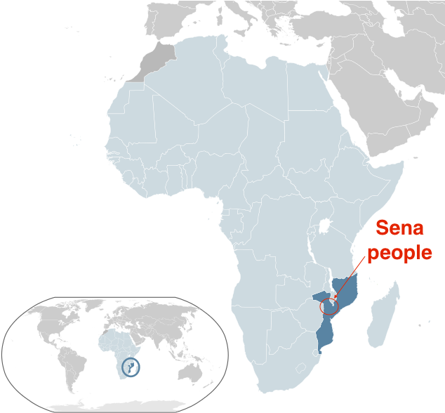 Congratulations! The PNG Image Has Been Downloaded (Sena People ...