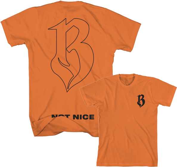 Congratulations! The PNG Image Has Been Downloaded (Baka Not Nice Png ...