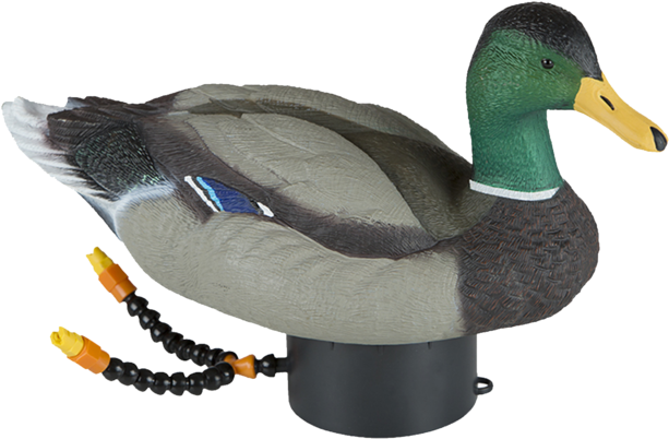 Congratulations! The PNG Image Has Been Downloaded (Lucky Duck Super ...