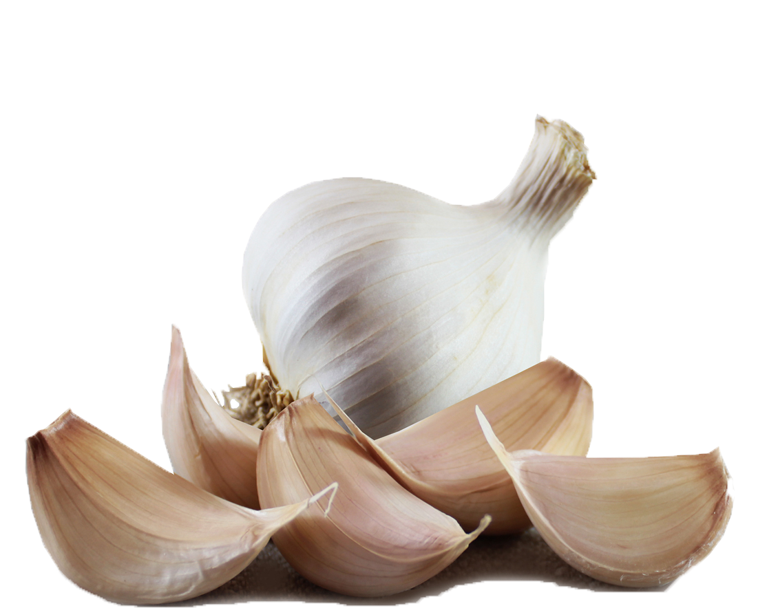 Congratulations! The PNG Image Has Been Downloaded (Garlic Png Hd ...