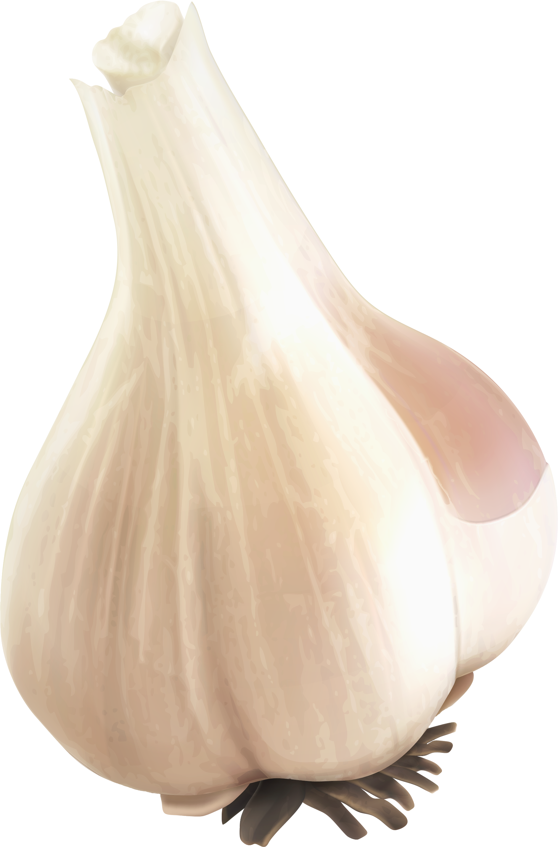 Congratulations! The PNG Image Has Been Downloaded (Garlic Png Image ...