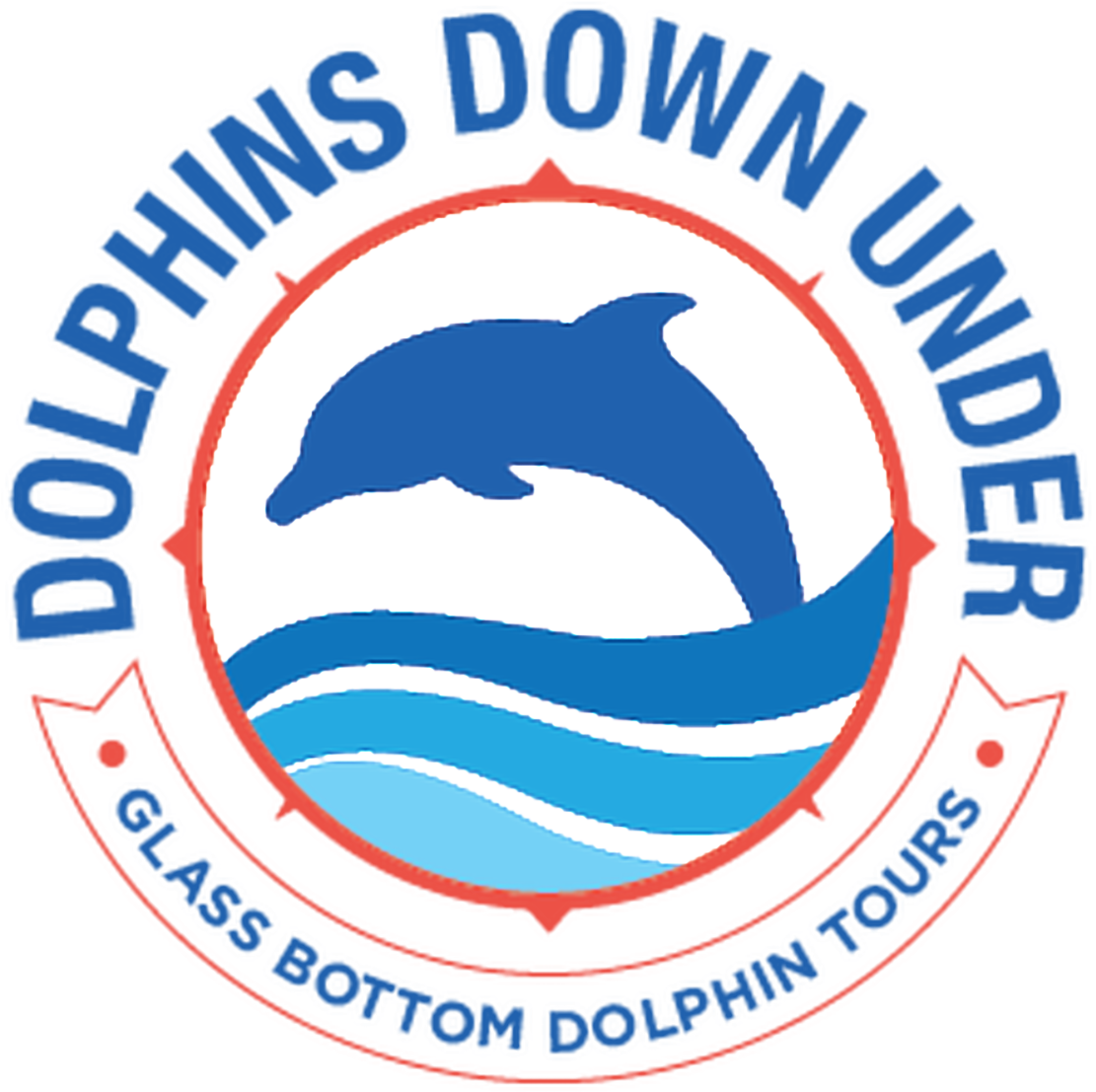 Congratulations! The PNG Image Has Been Downloaded (Dolphins Down Under ...
