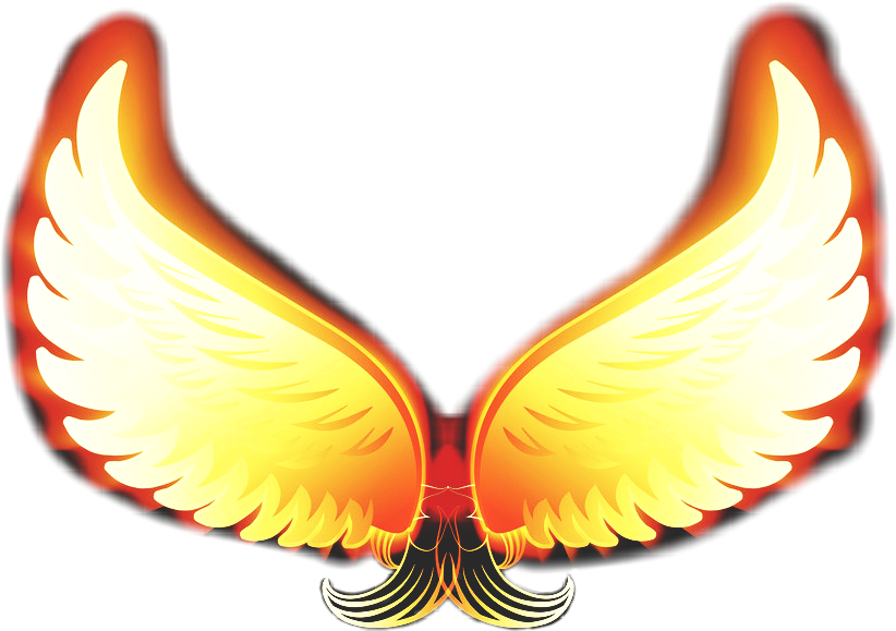 Congratulations! The PNG Image Has Been Downloaded (#freetoedit #wings ...