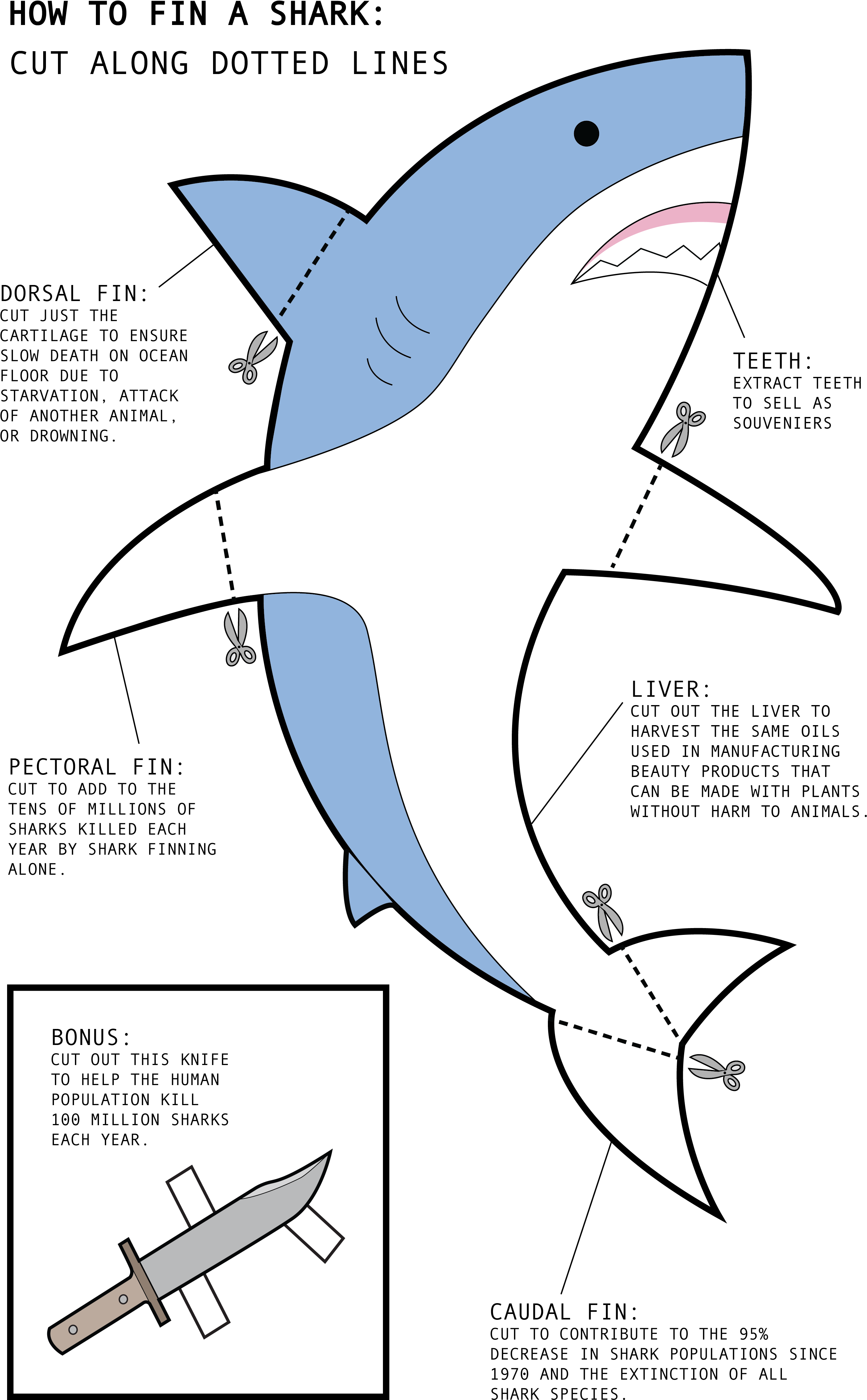 Congratulations! The PNG Image Has Been Downloaded (Great White Shark ...