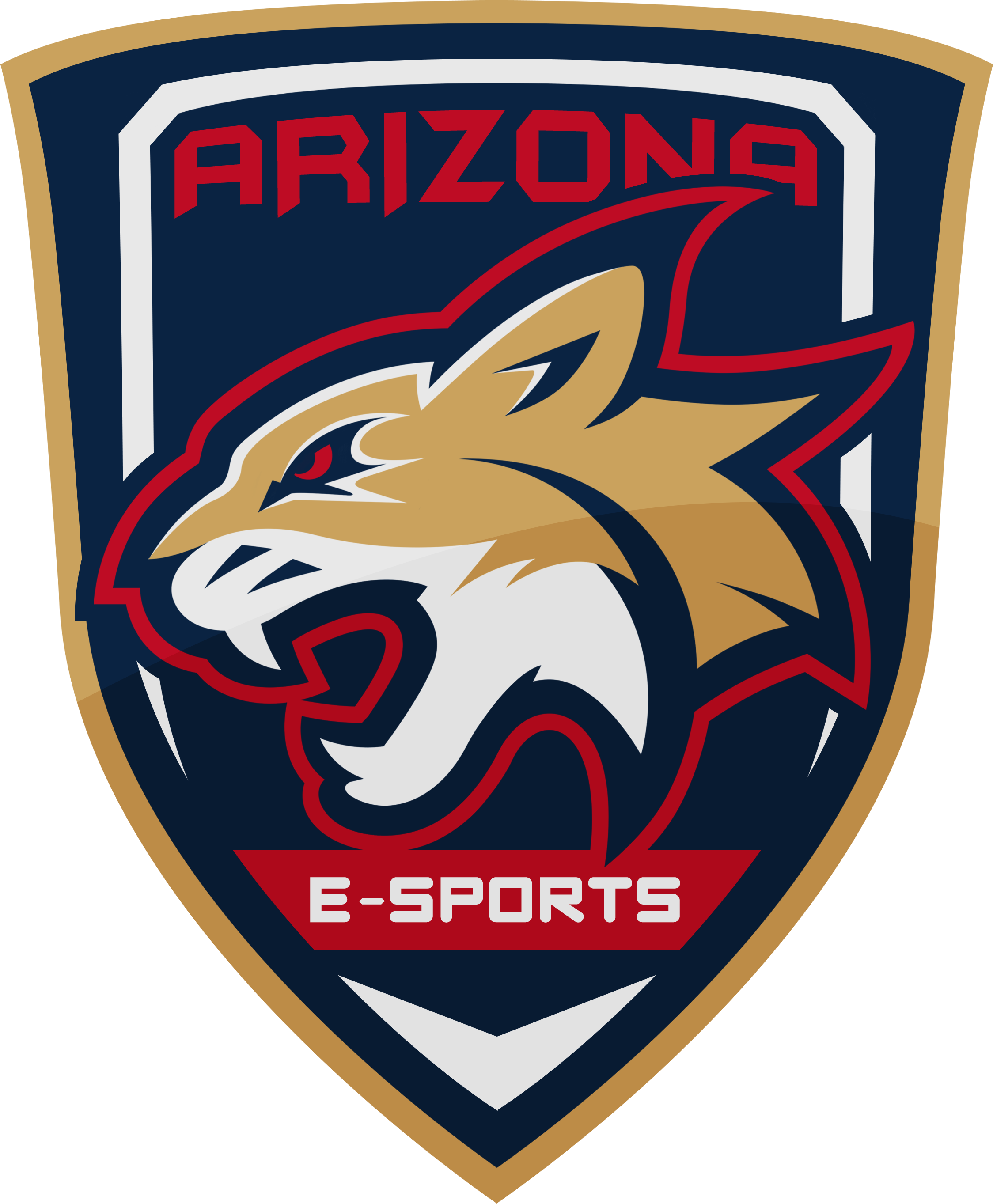 Congratulations! The PNG Image Has Been Downloaded (Arizona Esports ...
