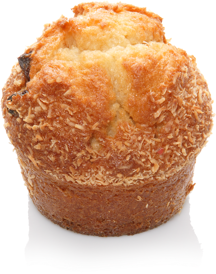 Congratulations! The PNG Image Has Been Downloaded (Transparent Paczki ...