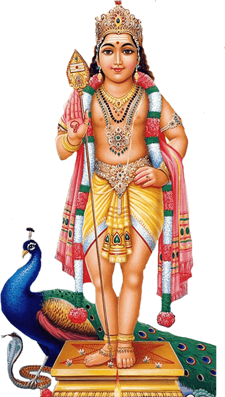 Congratulations! The PNG Image Has Been Downloaded (Lord Murugan, HD ...