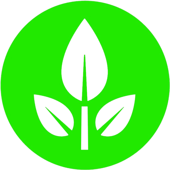 Congratulations! The PNG Image Has Been Downloaded (Eve Plant Wall E ...