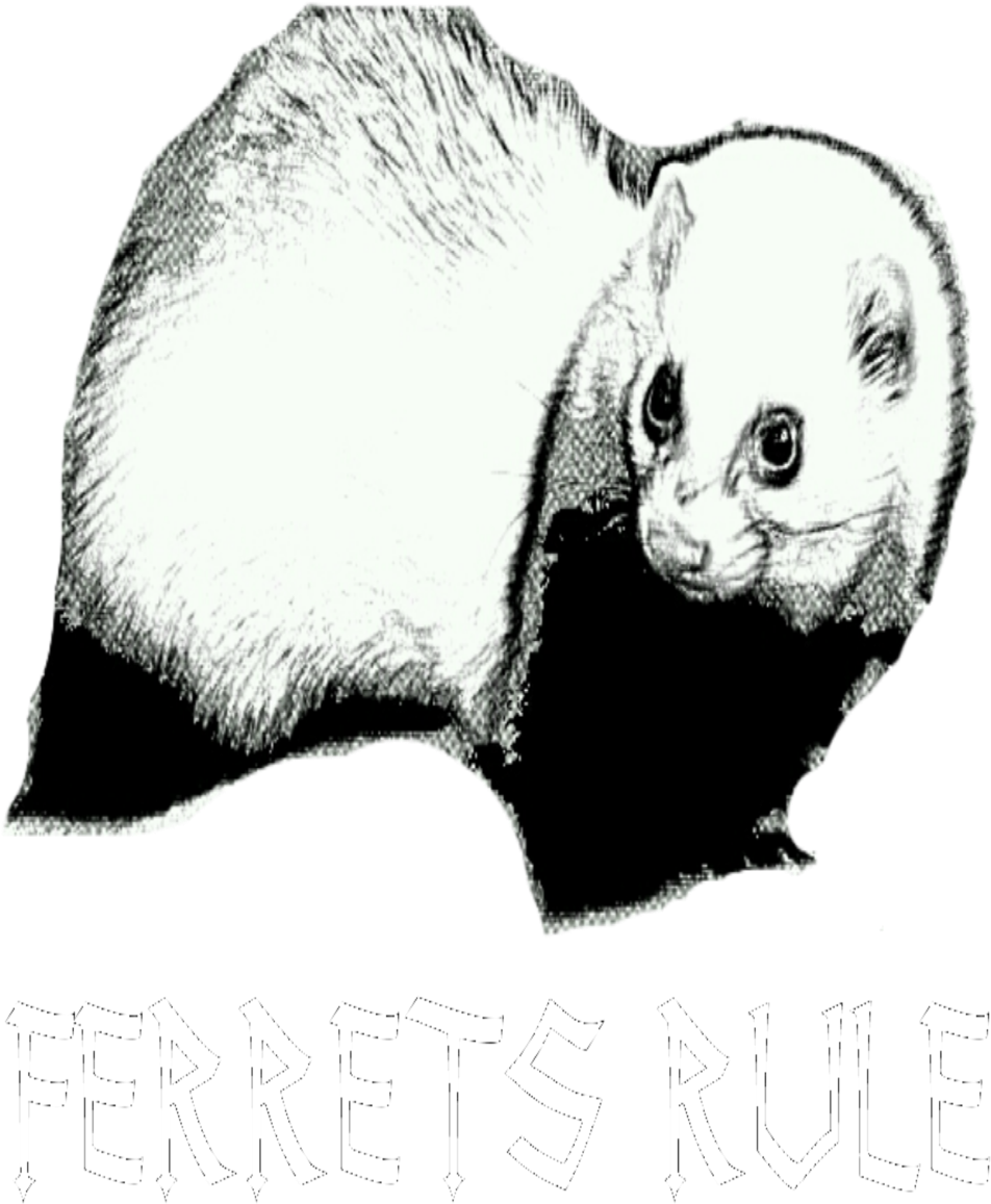 Congratulations! The PNG Image Has Been Downloaded (Ferret, HD Png ...