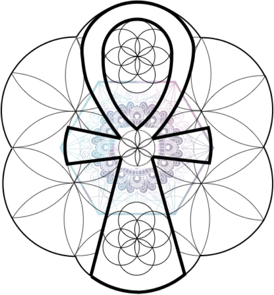 Congratulations! The PNG Image Has Been Downloaded (Book Tickets For ...