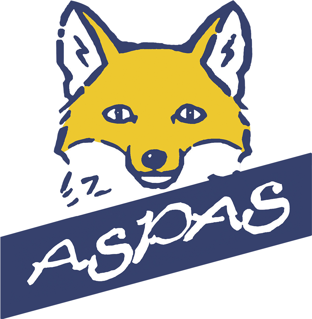 Congratulations! The PNG Image Has Been Downloaded (Transparent Aspas ...