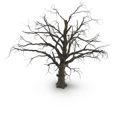Congratulations! The PNG Image Has Been Downloaded (Spooky Tree Png Hd ...