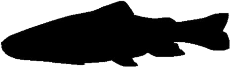 Congratulations! The PNG Image Has Been Downloaded (Transparent Brook ...