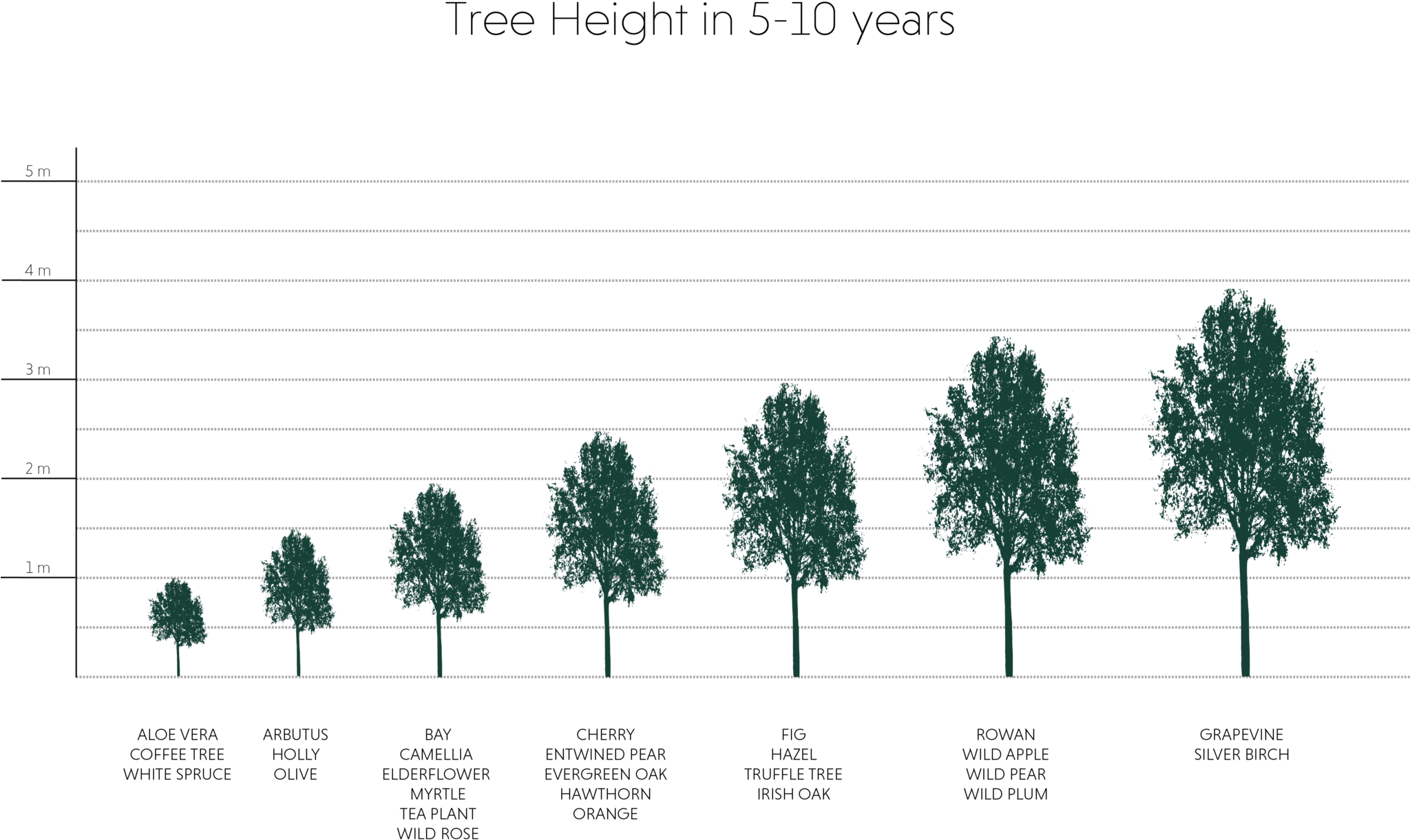 Congratulations! The PNG Image Has Been Downloaded (Trees Top View Png ...