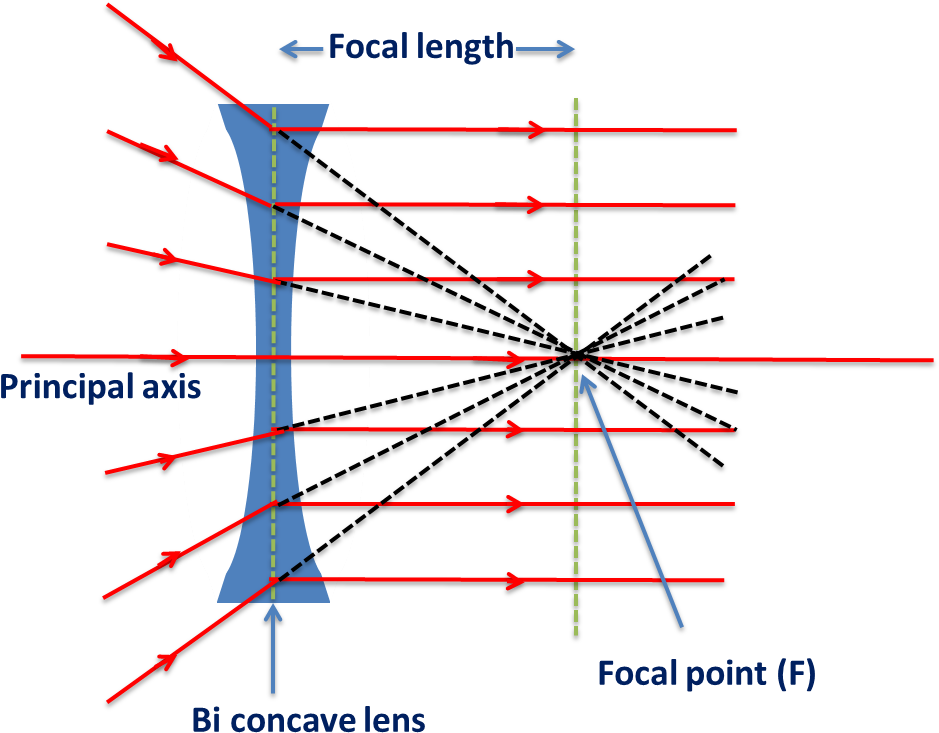 Congratulations! The PNG Image Has Been Downloaded (Biconcave Lens ...