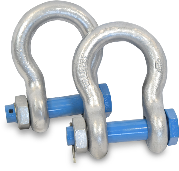 Congratulations! The PNG Image Has Been Downloaded (Transparent ...