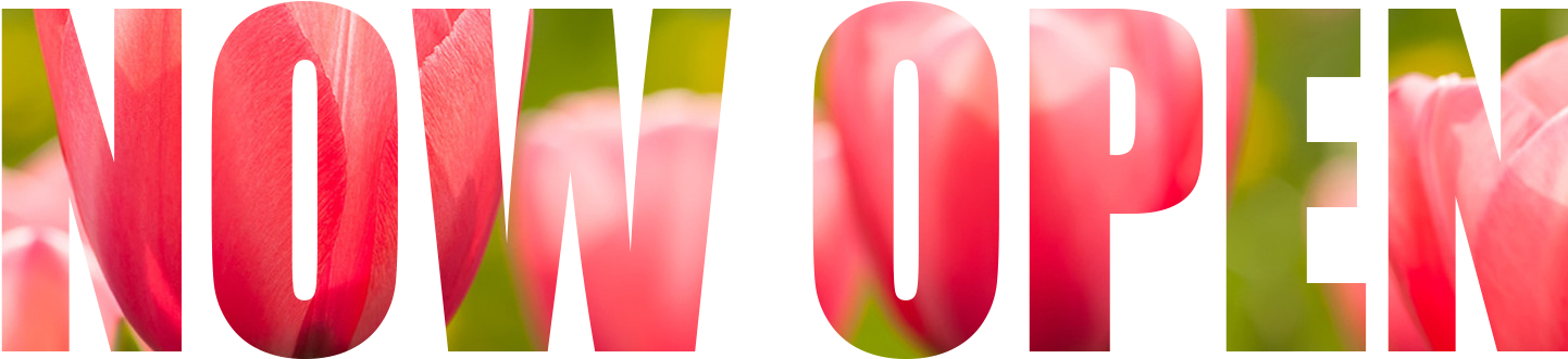 Congratulations! The PNG Image Has Been Downloaded (Mgrc - Now Open ...