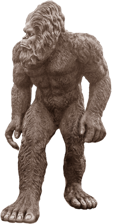 Congratulations! The PNG Image Has Been Downloaded (Sasquatch Png ...