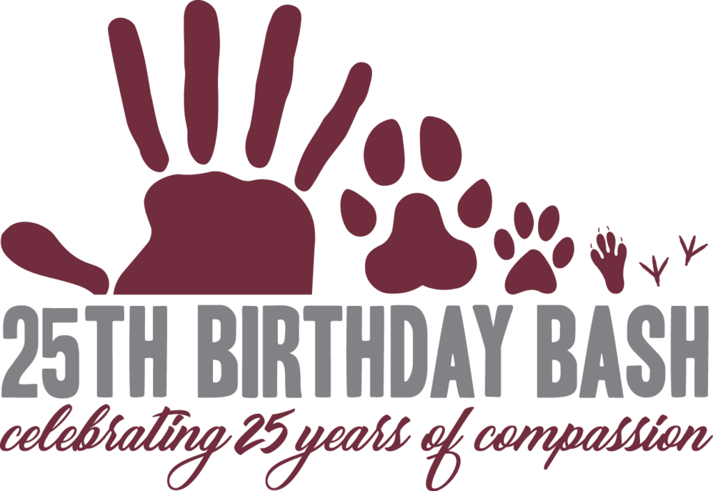 Congratulations! The PNG Image Has Been Downloaded (Transparent Bash ...