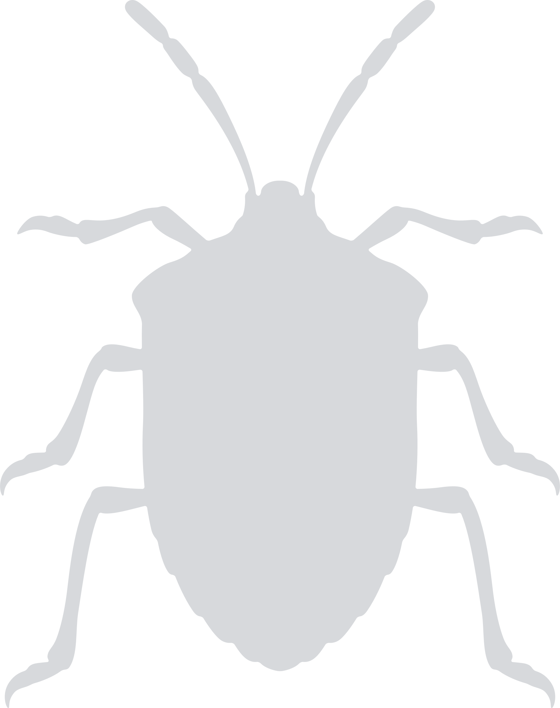 Congratulations! The PNG Image Has Been Downloaded (Stink Bug Clip Arts ...