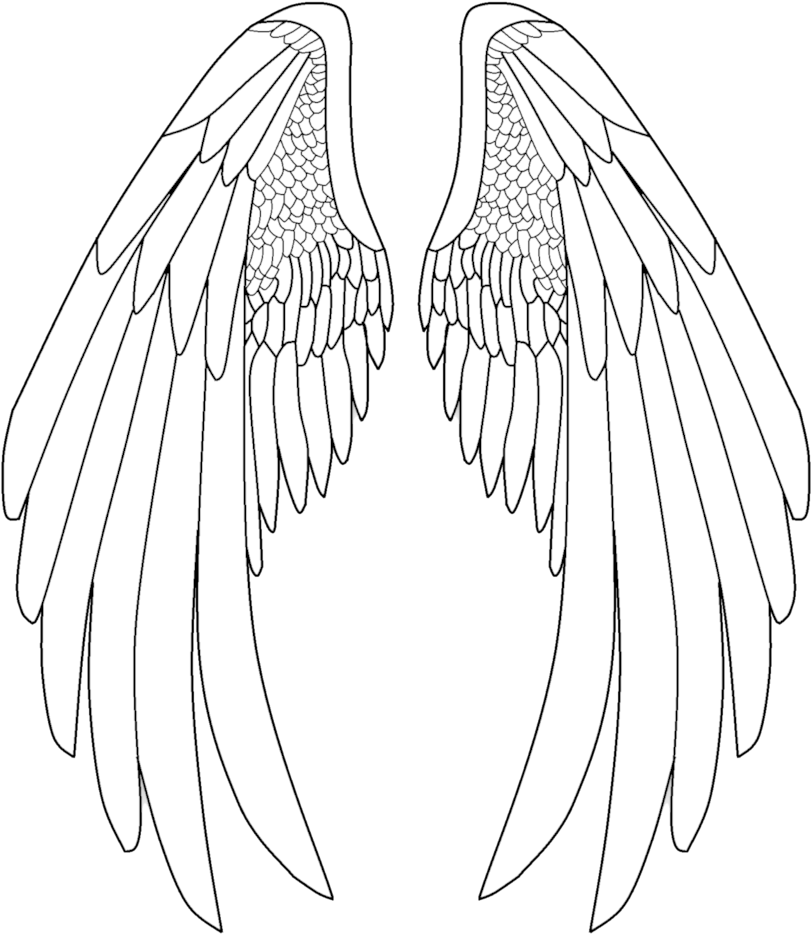 Congratulations! The PNG Image Has Been Downloaded (Elegant Drawing ...