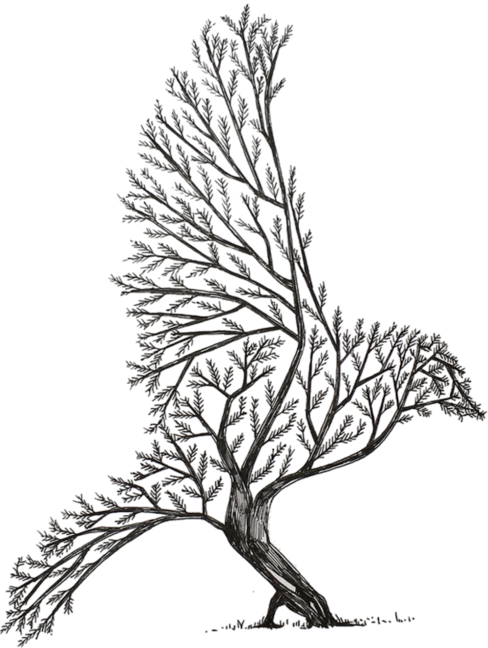 Congratulations! The PNG Image Has Been Downloaded (Transparent Tree ...