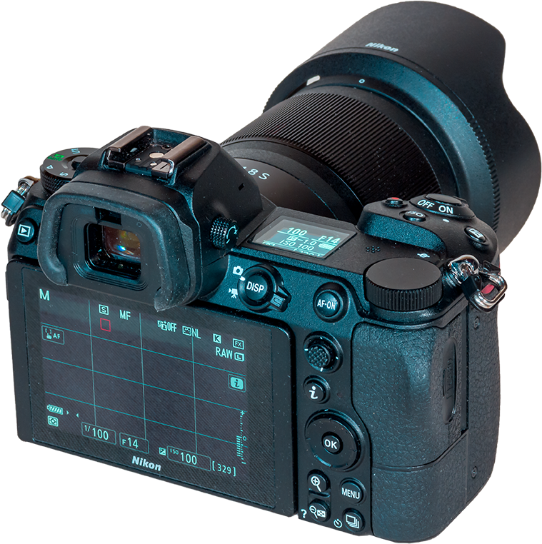Congratulations! The PNG Image Has Been Downloaded (Transparent Nikon ...