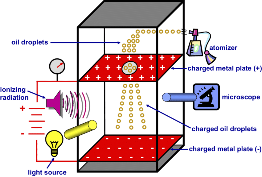 Congratulations! The PNG Image Has Been Downloaded (Transparent Oil ...