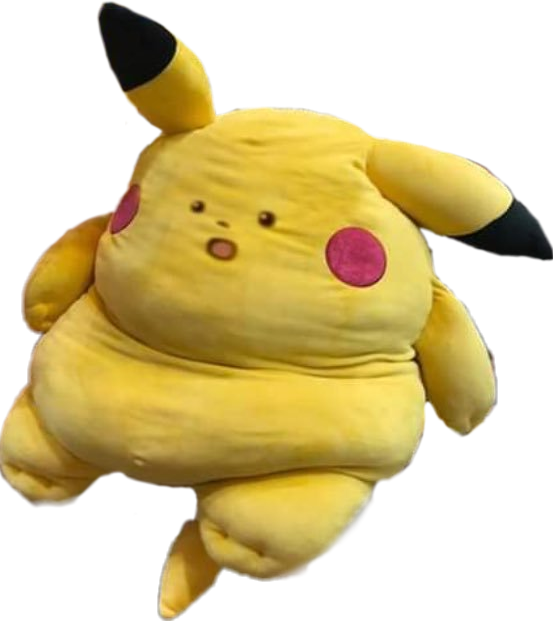 Congratulations! The PNG Image Has Been Downloaded (Meme Png Pikachu ...
