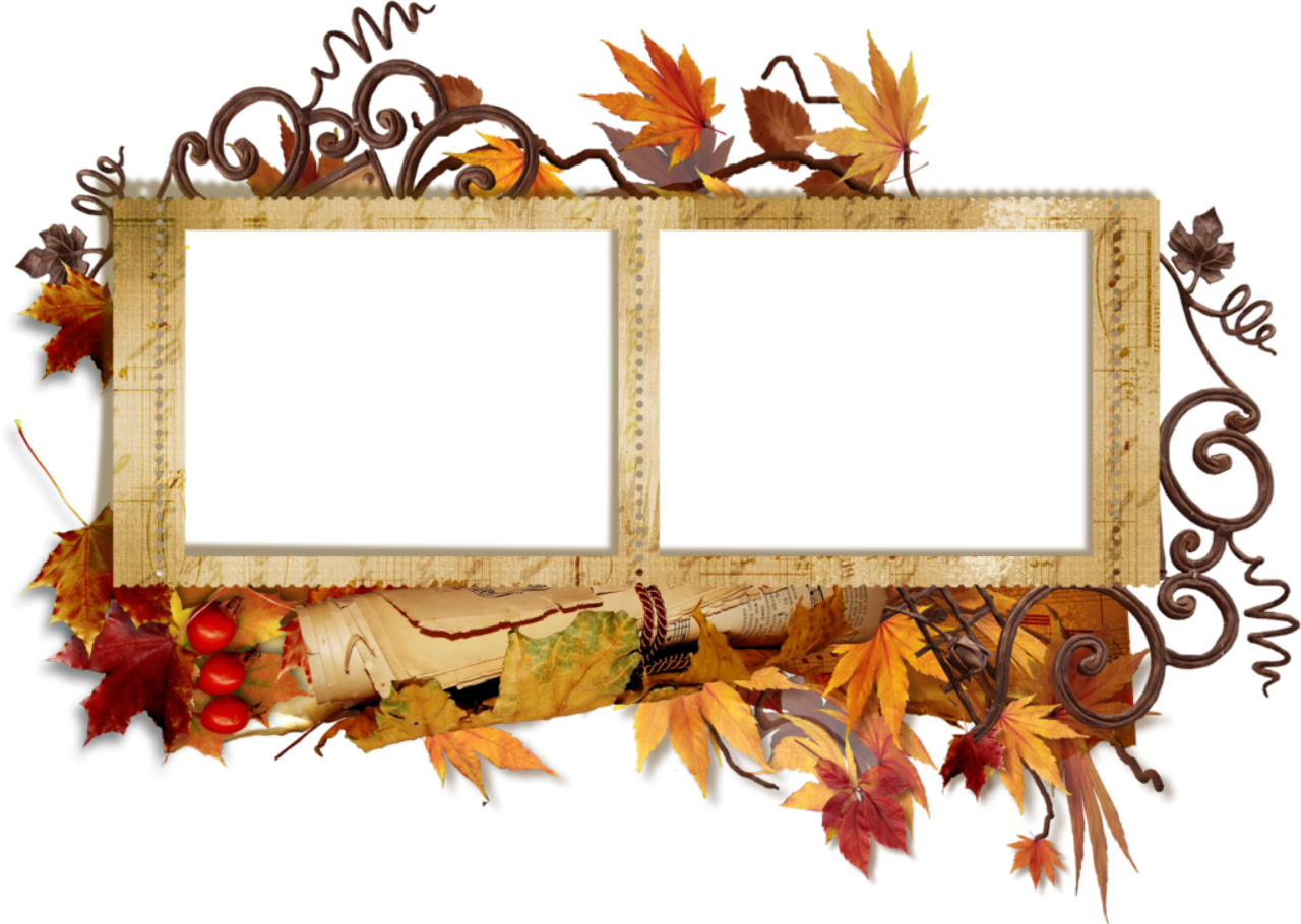 Congratulations! The PNG Image Has Been Downloaded (Collage Frames Png ...