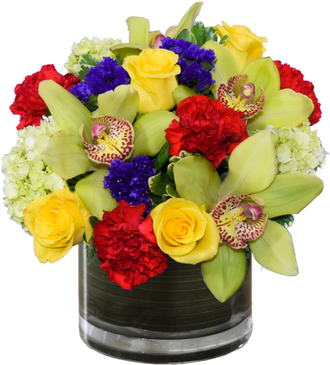 Congratulations! The PNG Image Has Been Downloaded (Birthday Bounce ...