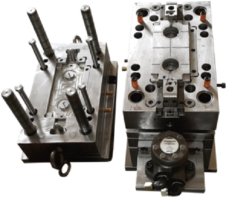Congratulations! The PNG Image Has Been Downloaded (Mold Development ...