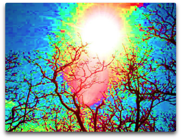 Congratulations! The PNG Image Has Been Downloaded (Lsd Sunshine - Lsd ...
