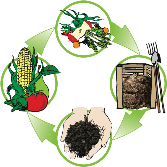 Congratulations! The PNG Image Has Been Downloaded (Compost Cycle, HD ...