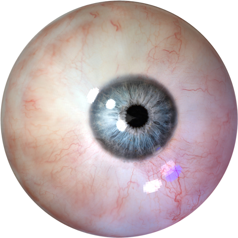 Congratulations! The PNG Image Has Been Downloaded (Eyeball Png ...