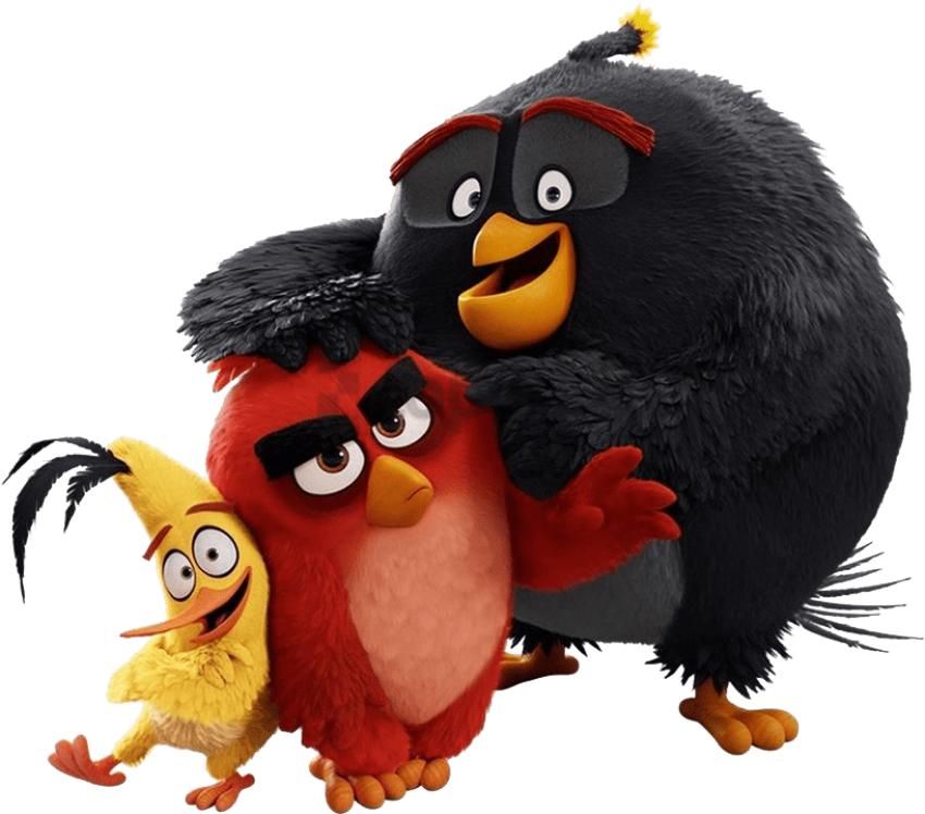Congratulations! The PNG Image Has Been Downloaded (Angry Birds Png ...