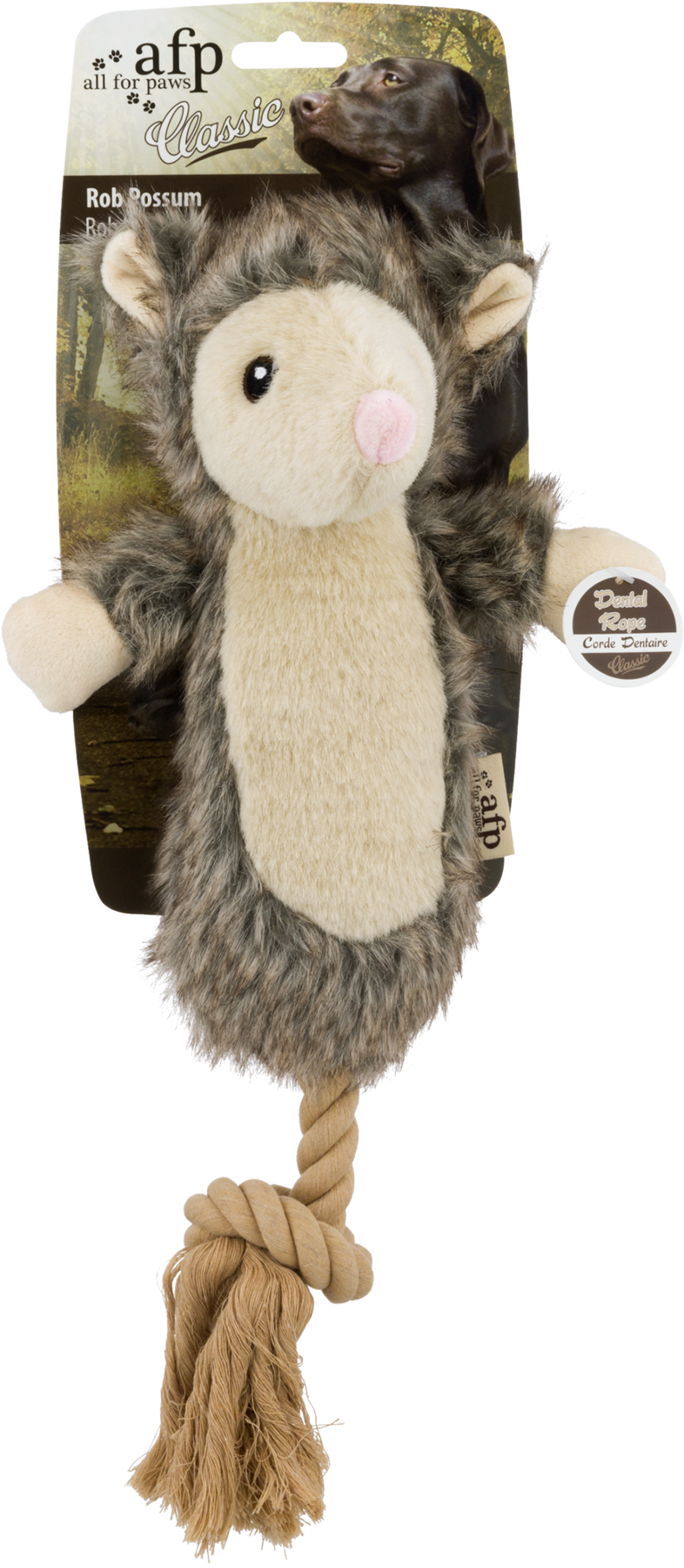 Congratulations! The PNG Image Has Been Downloaded (Transparent Possum ...