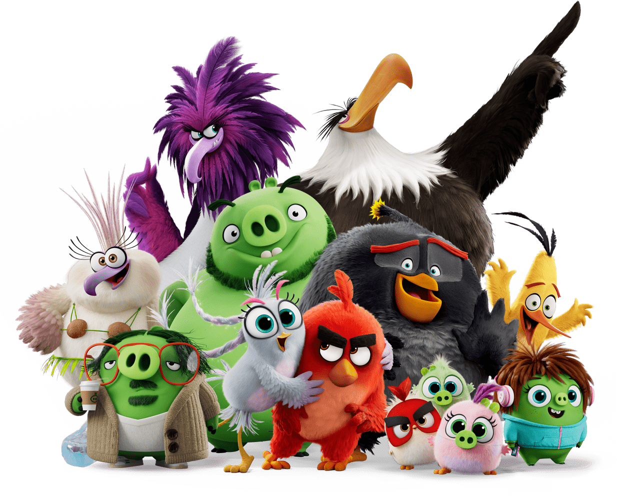 Congratulations! The PNG Image Has Been Downloaded (The Angry Birds ...