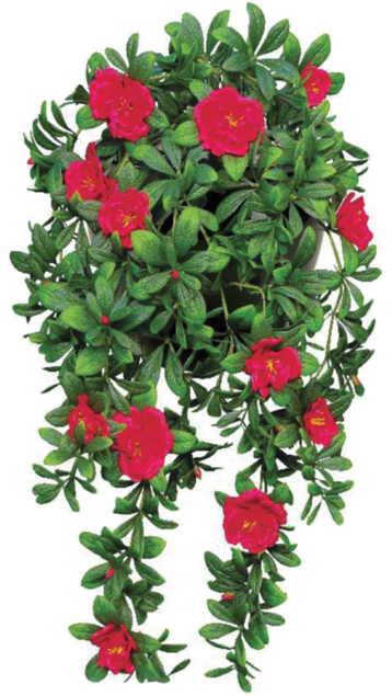 Congratulations! The PNG Image Has Been Downloaded (Flower Png File By ...