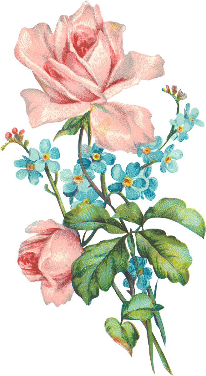 Congratulations! The PNG Image Has Been Downloaded (Transparent Vintage ...