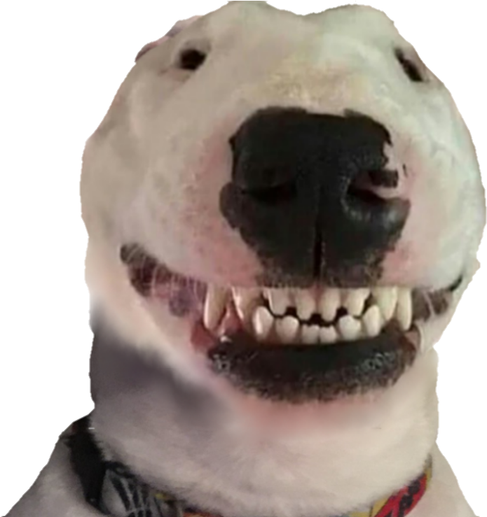 Congratulations! The PNG Image Has Been Downloaded (Walter Dog ...