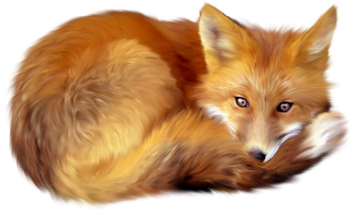 Congratulations! The PNG Image Has Been Downloaded (Red Fox Clip Art ...