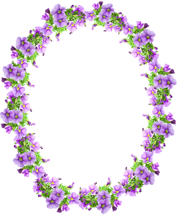 Congratulations! The PNG Image Has Been Downloaded (Frame, Border ...