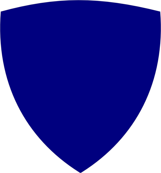 Congratulations! The PNG Image Has Been Downloaded (Blank Blue Shield ...