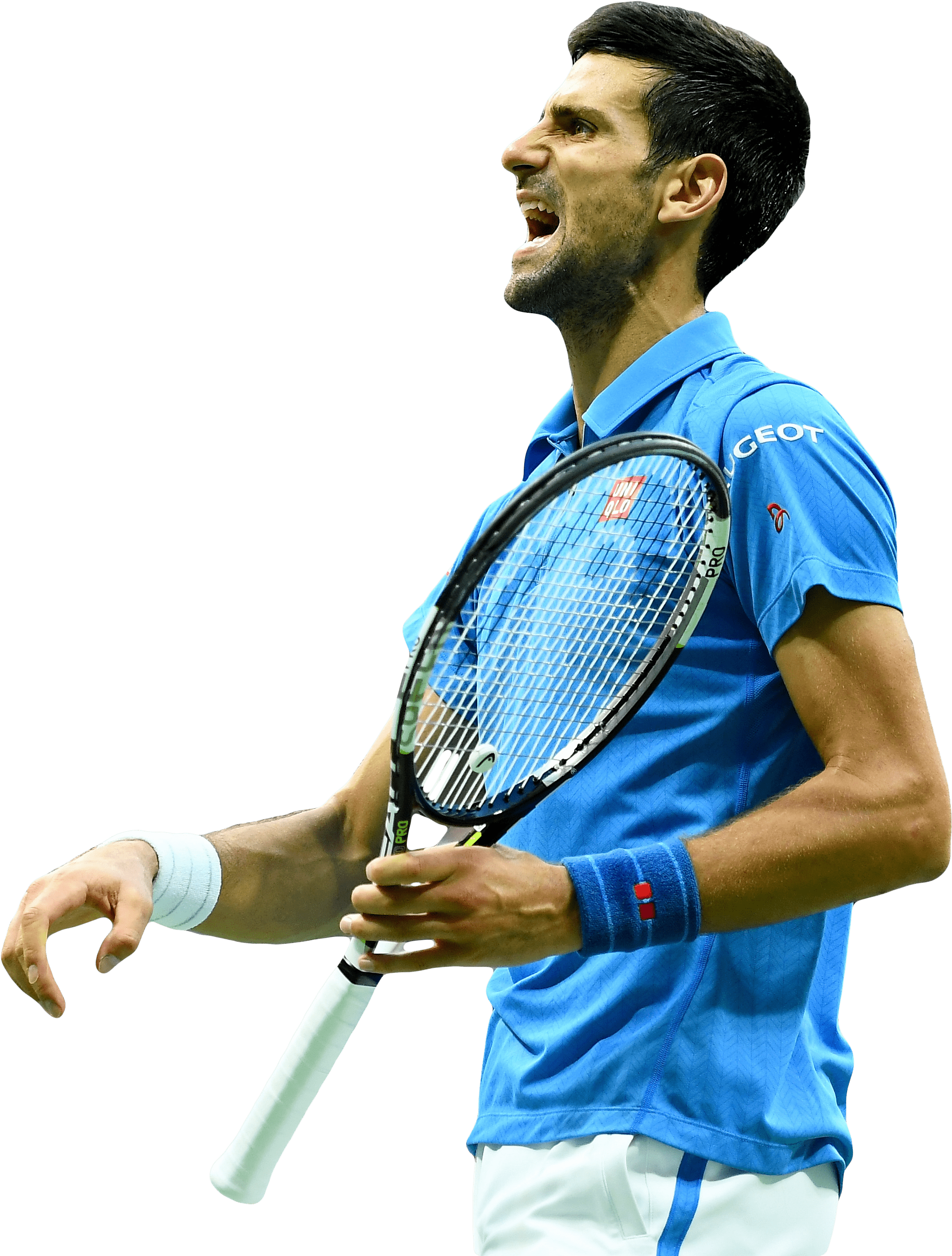 Congratulations! The PNG Image Has Been Downloaded (Novak Djokovic ...
