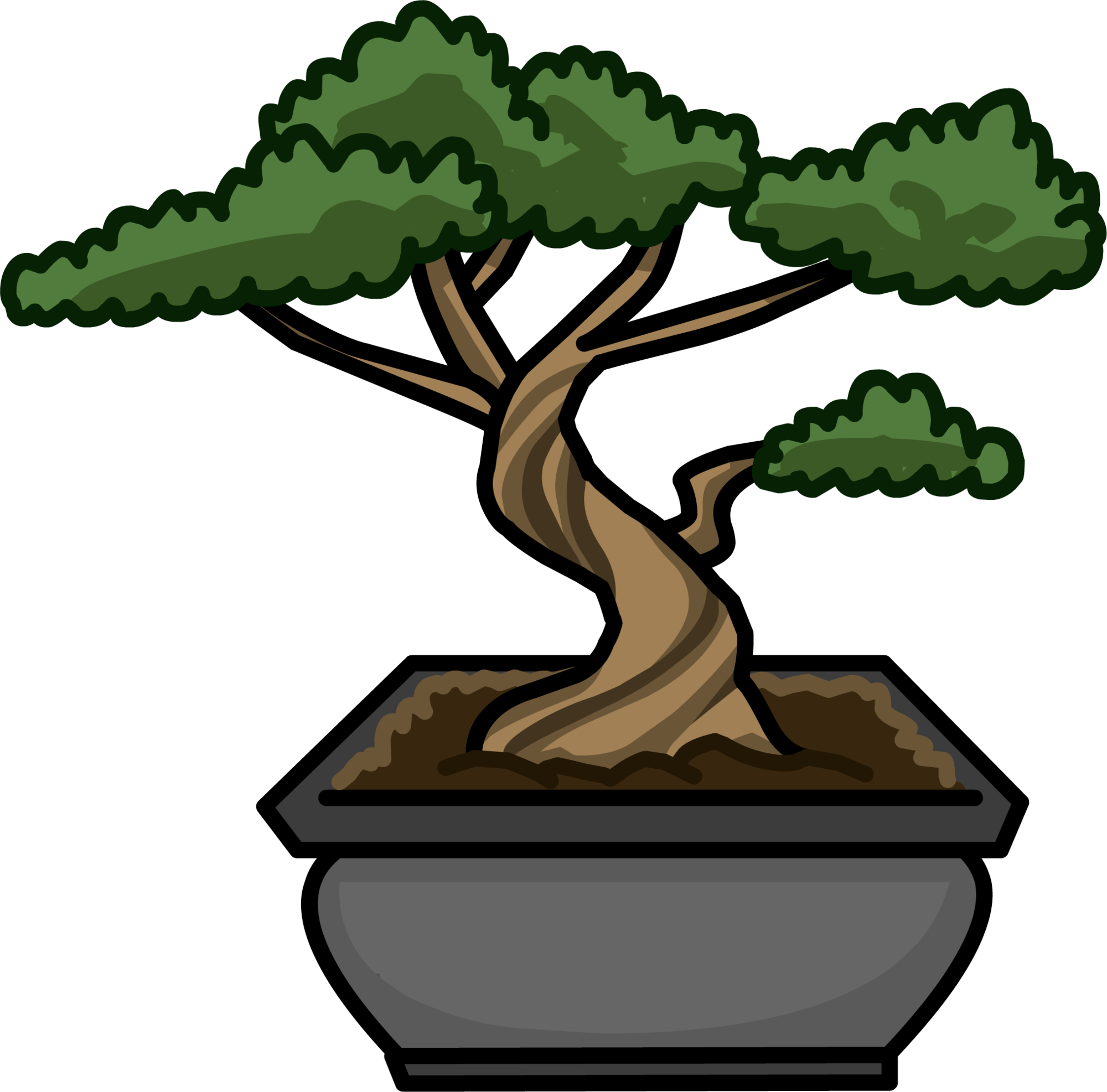Congratulations! The PNG Image Has Been Downloaded (Transparent Bonsai ...