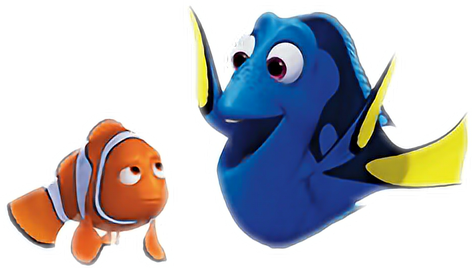 Congratulations! The PNG Image Has Been Downloaded (#nemoandory#nemo # ...