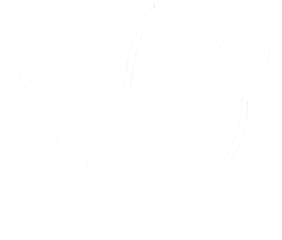 Congratulations! The PNG Image Has Been Downloaded (Twitter Logo Png ...